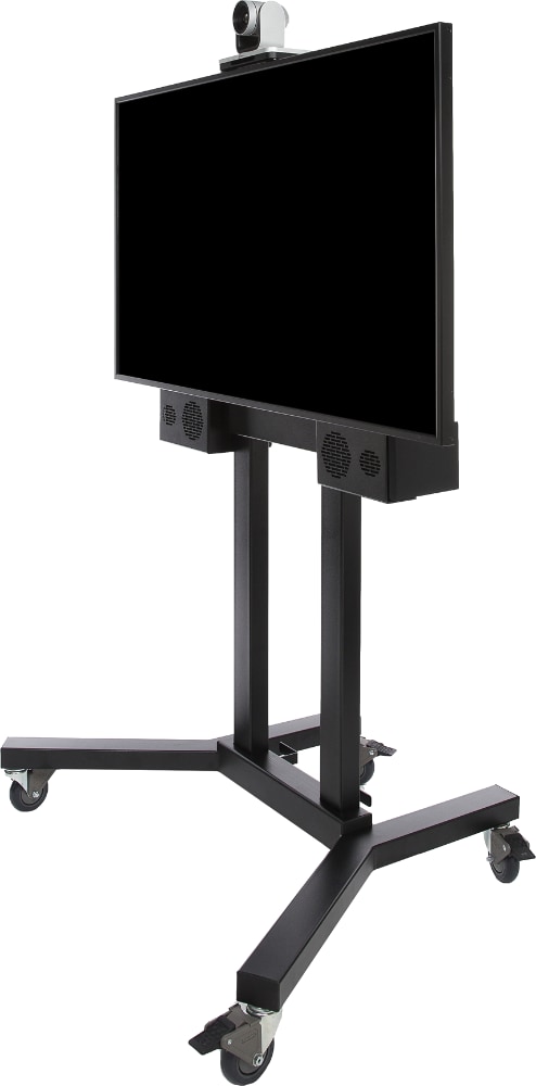 Portable Video Conferencing - Plexus Communications